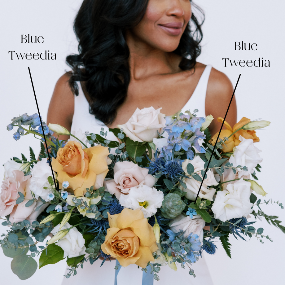 Tweedia Bulk Wedding Flowers | DIY Wedding Flowers – Flower Moxie
