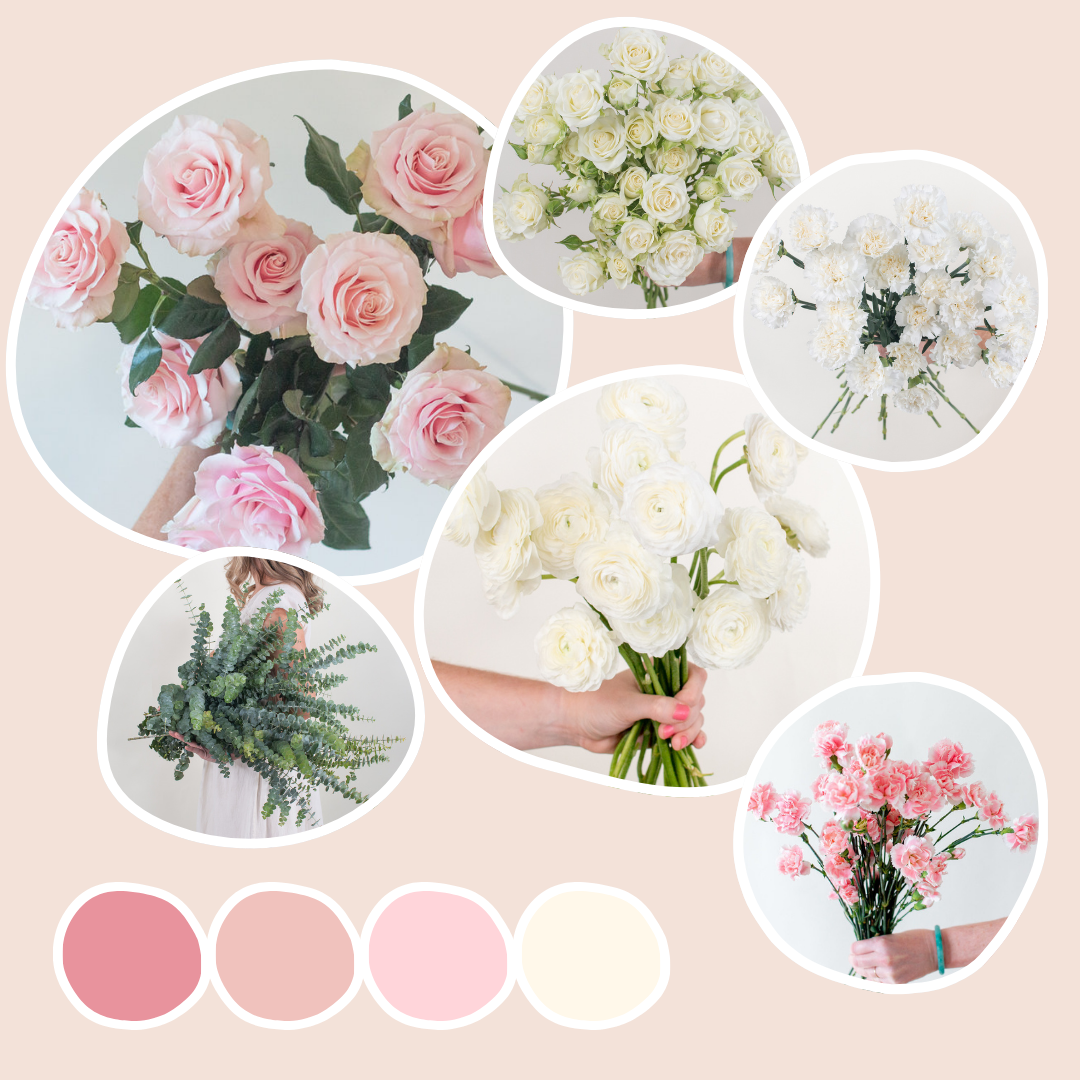 Blush and Cream Sample Box | Flower Moxie Bulk Flowers