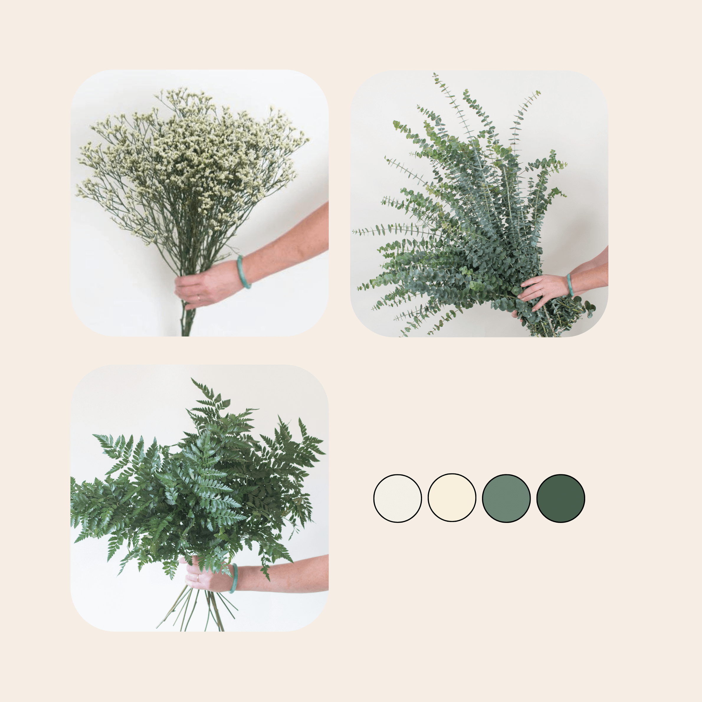 Boho Fillers Mixed Box | Flower Moxie Bulk Flowers