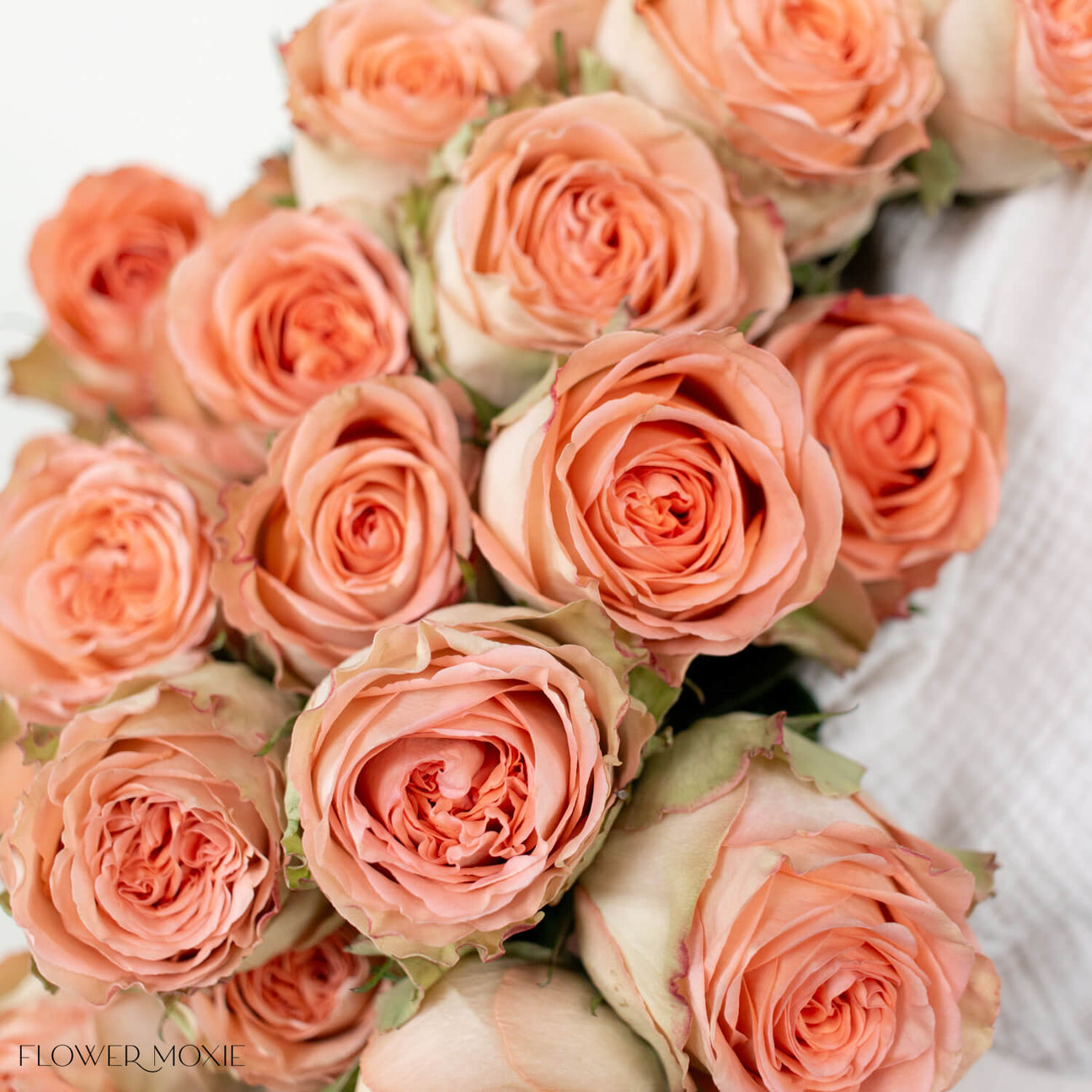 Peach Country Home Roses | Fresh DIY Wedding Flowers – Flower Moxie