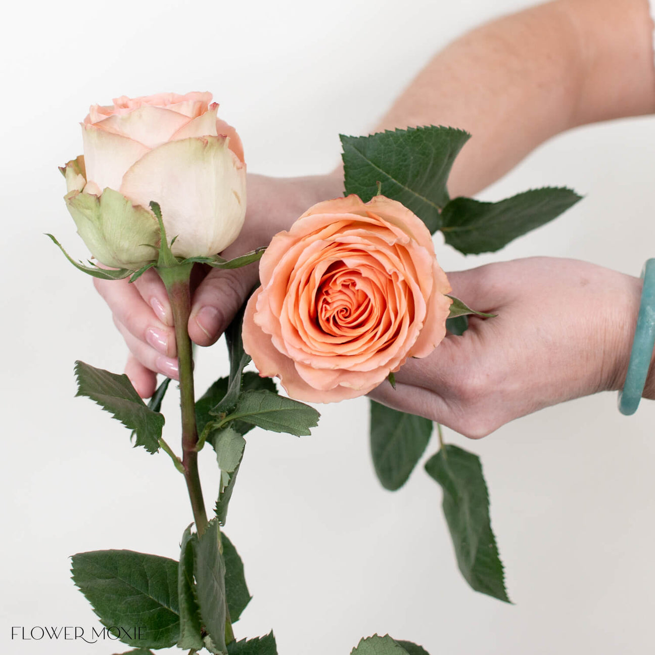 Peach Country Home Roses | Fresh DIY Wedding Flowers – Flower Moxie