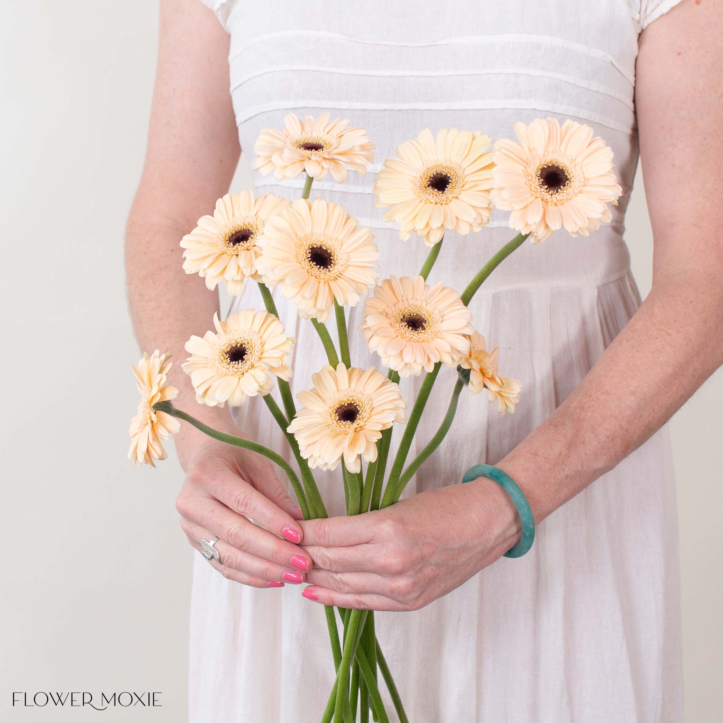 Cafe Light Peach Mini Gerbera | Fresh DIY Wedding Flowers | Flower Moxie