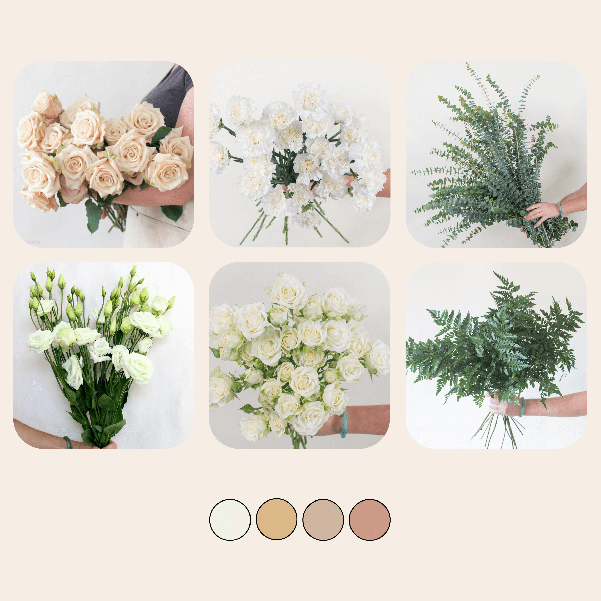 Canyon Rose Sample Box | Flower Moxie Bulk Flowers