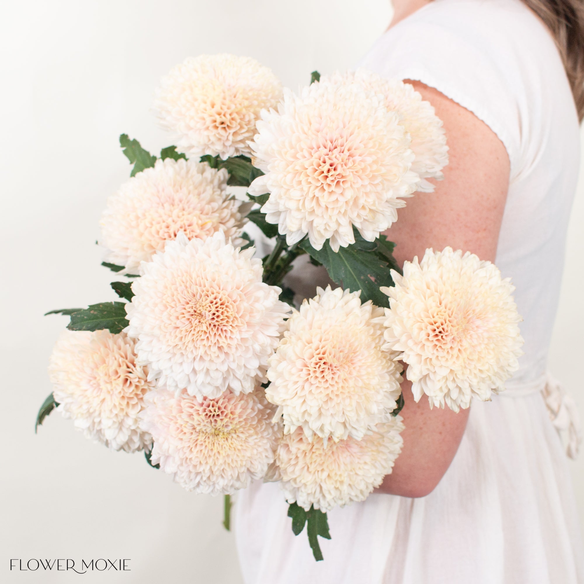 Champagne Cremone Flower | DIY Wedding Flowers | Flower Moxie