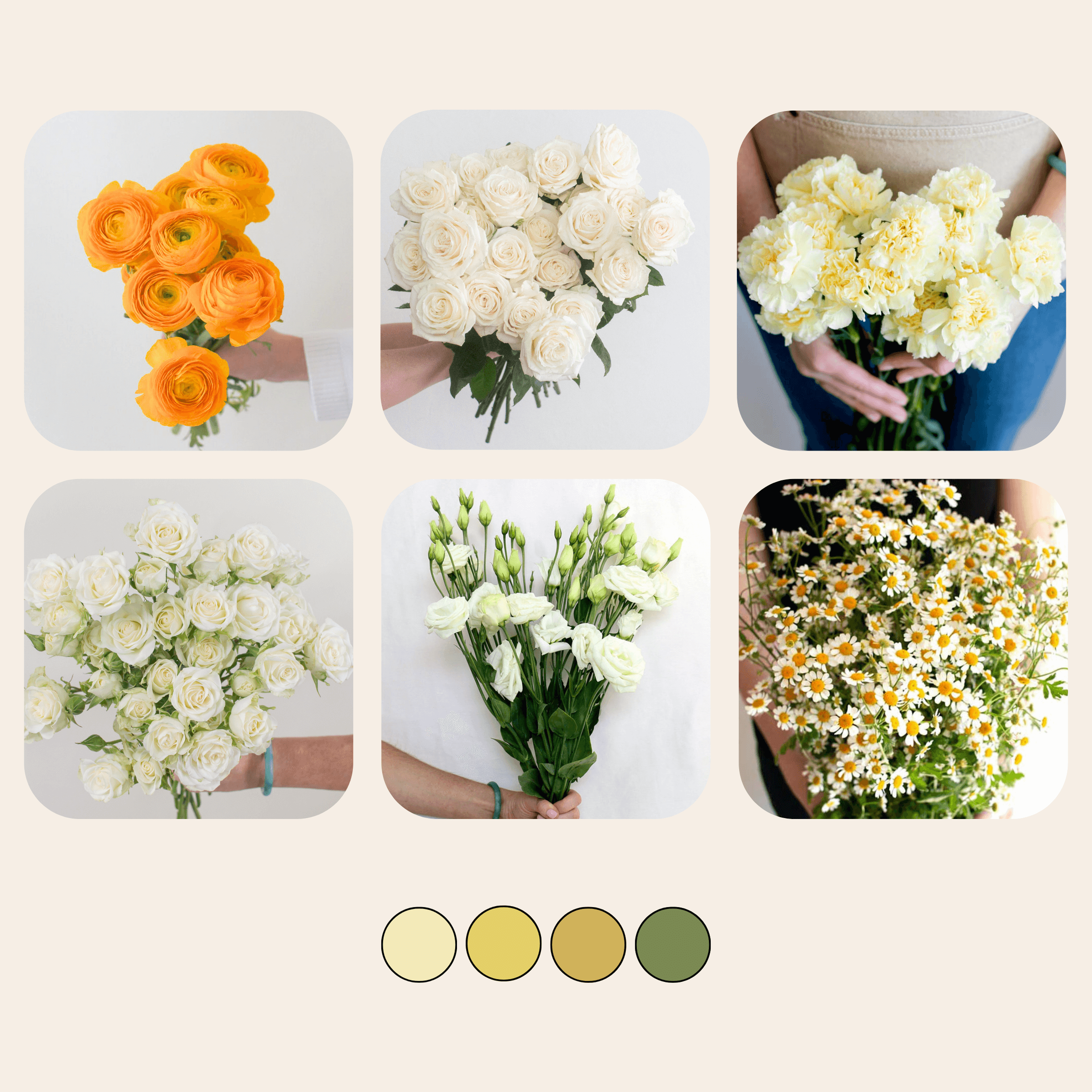 Citrine Sample Box | Flower Moxie Bulk Flowers