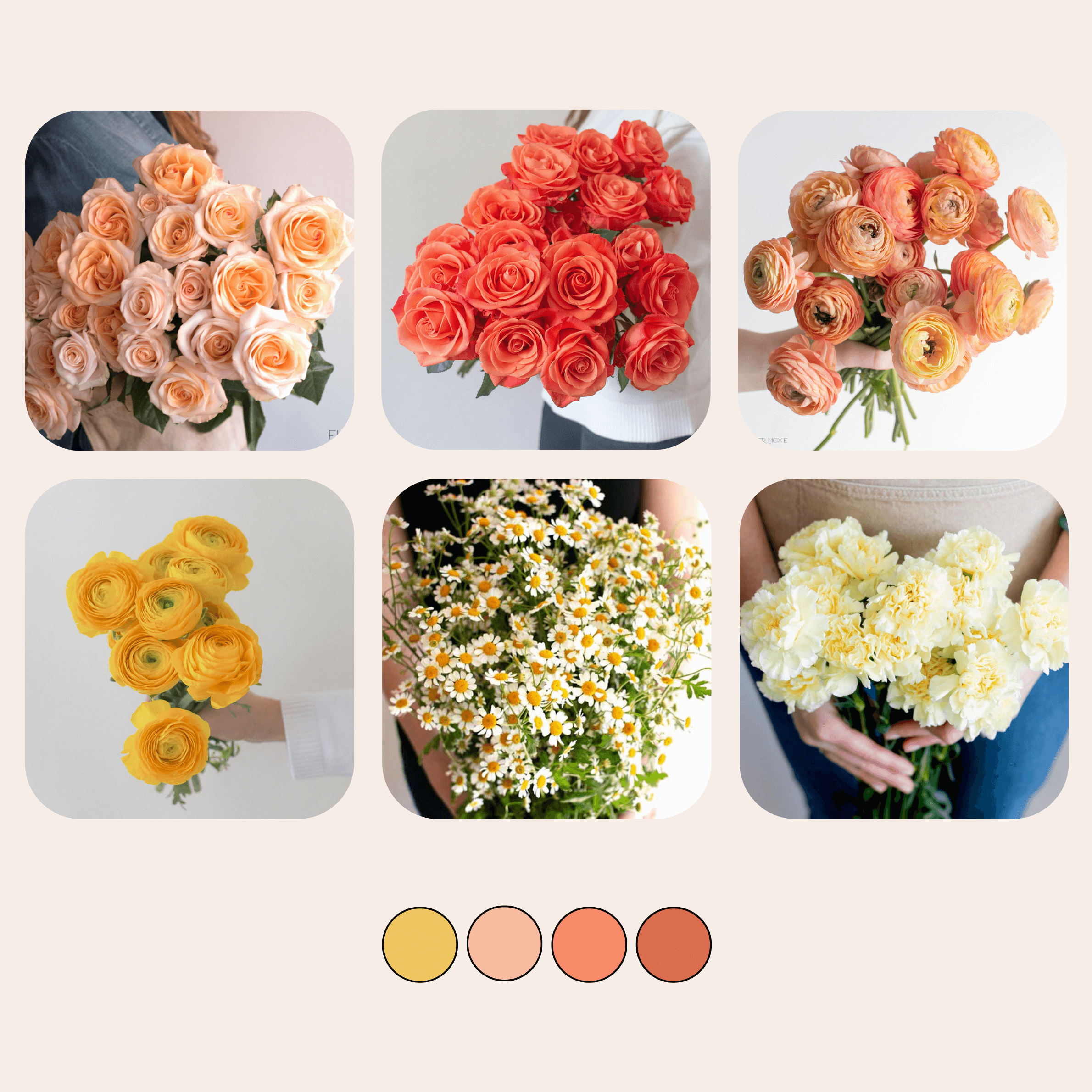 Citrus Crush Sample Box | Flower Moxie Bulk Flowers