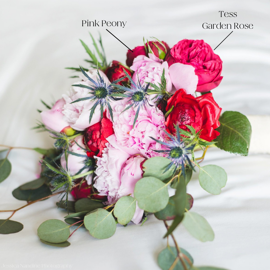 Tess Garden Roses | DIY Wedding Flowers | Flower Moxie