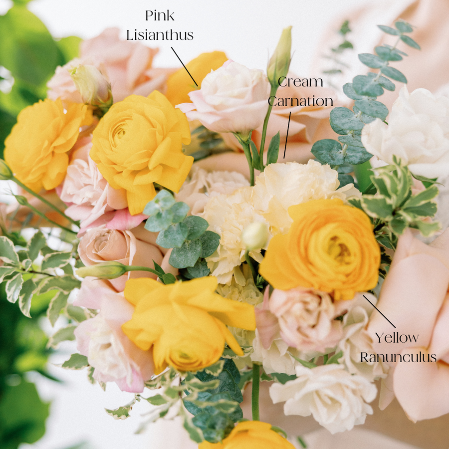 Cream Carnations | Bulk Fresh DIY Wedding Flowers | Flower Moxie