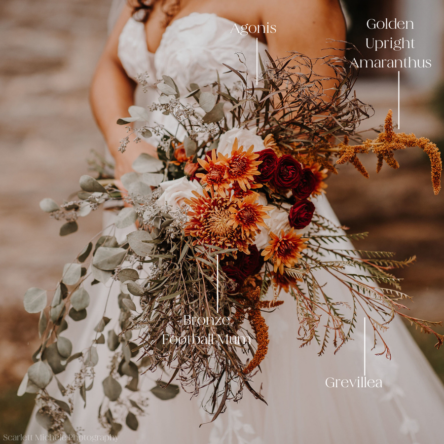 Bronze Football Mum Flower | DIY Wedding Flowers | Flower Moxie