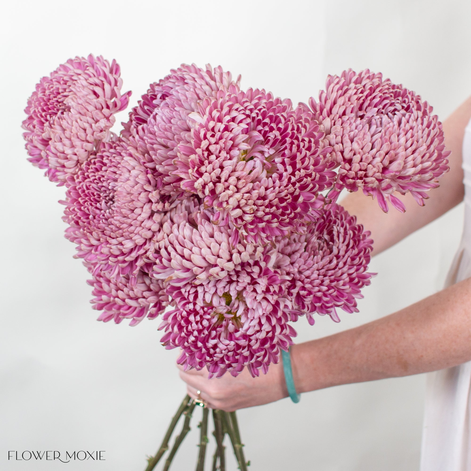 Mauve Cremone Flower | DIY Wedding Flowers | Flower Moxie