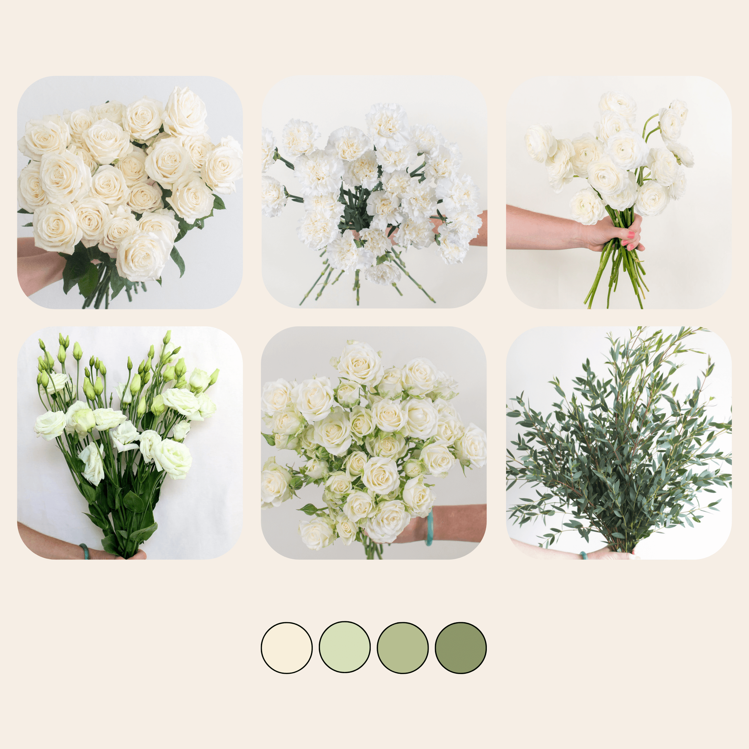 Cream and Sage Sample Box | Flower Moxie Bulk Flowers