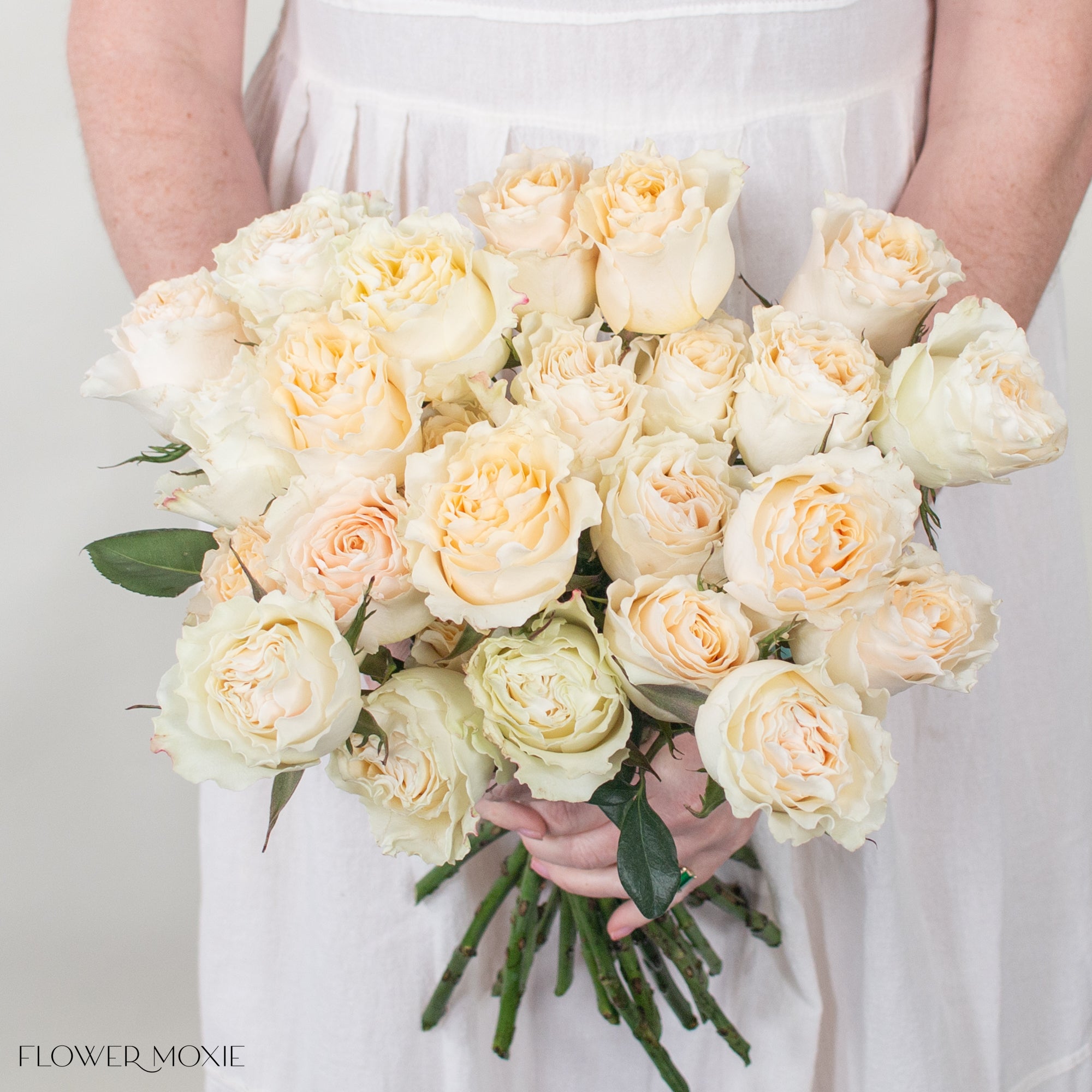 Creamy Yellow Carpe Diem Garden Rose | DIY Wedding Flowers | Flower Moxie