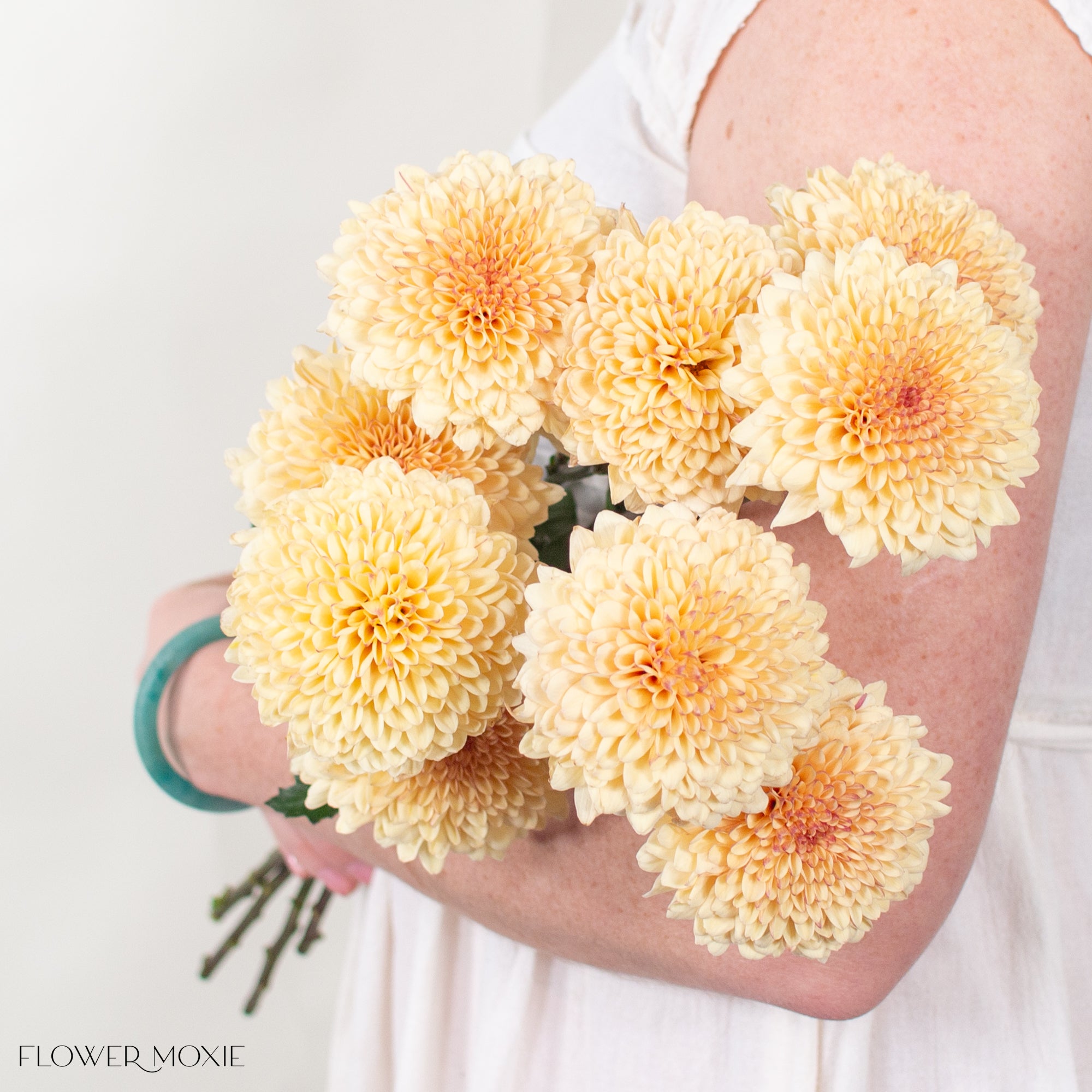 Creme Brulee Cremone Flower | DIY Wedding Flowers | Flower Moxie