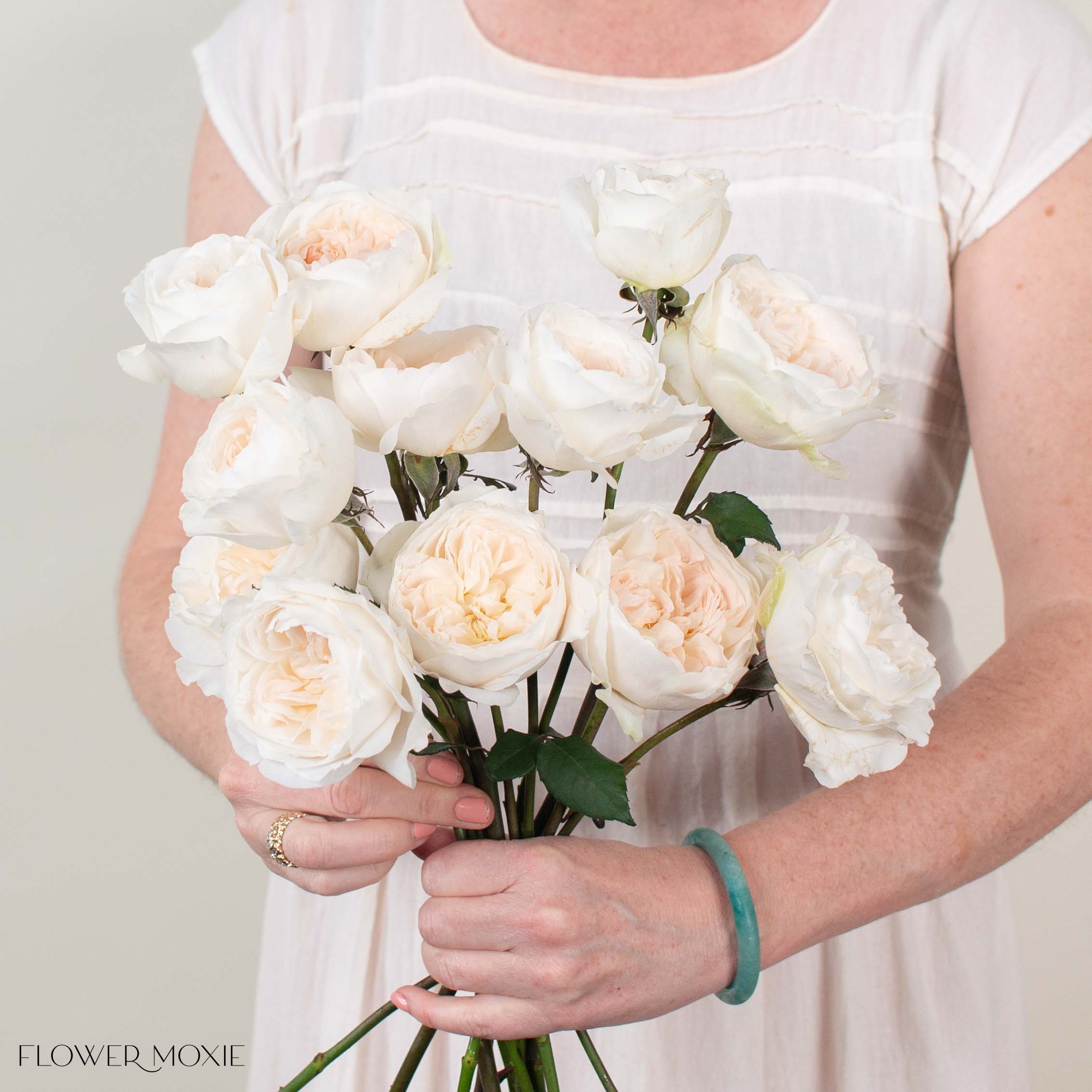 Creamy Blush Purity David Austin Garden Rose | DIY Wedding Flowers ...