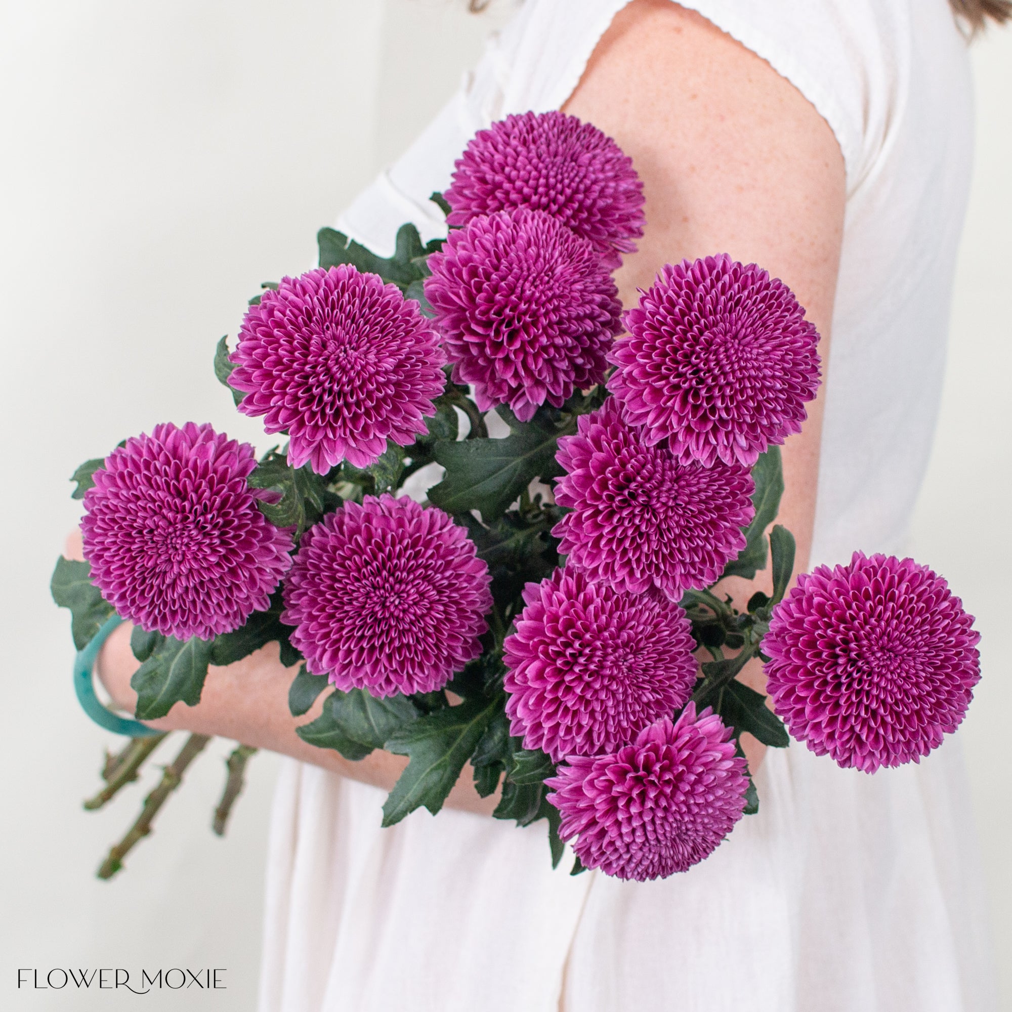 Purple Ball Cremone Flower | DIY Wedding Flowers | Flower Moxie