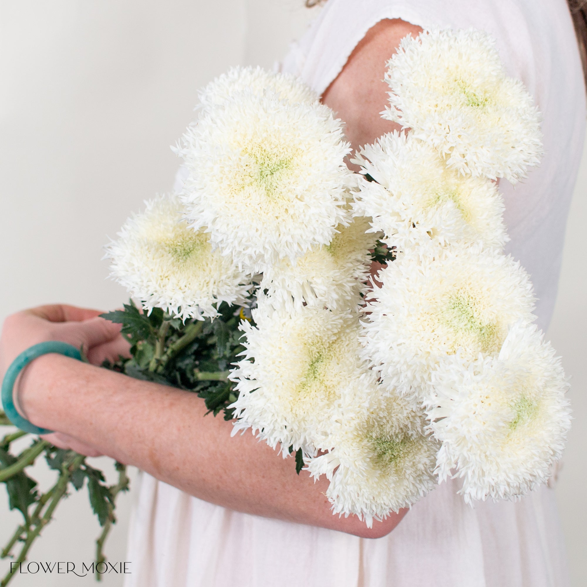White Feathery Cremone Flower | DIY Wedding Flowers | Flower Moxie