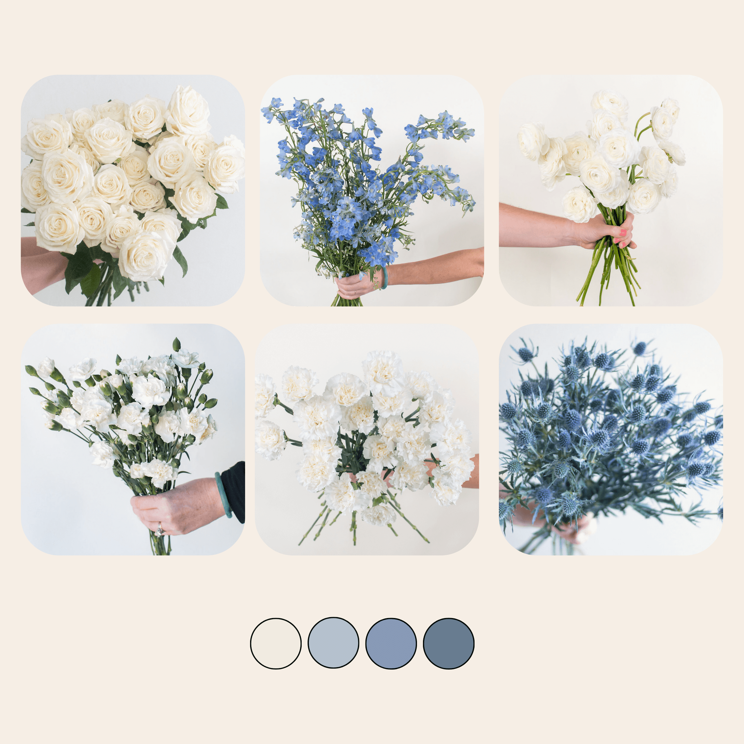 Dusty Blue and Cream Sample Box | Flower Moxie Bulk Flowers