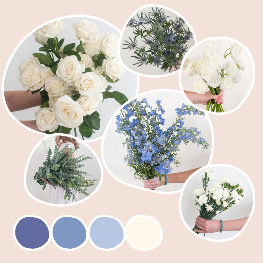 Dusty Blue and Cream Sample Box | Flower Moxie Bulk Flowers
