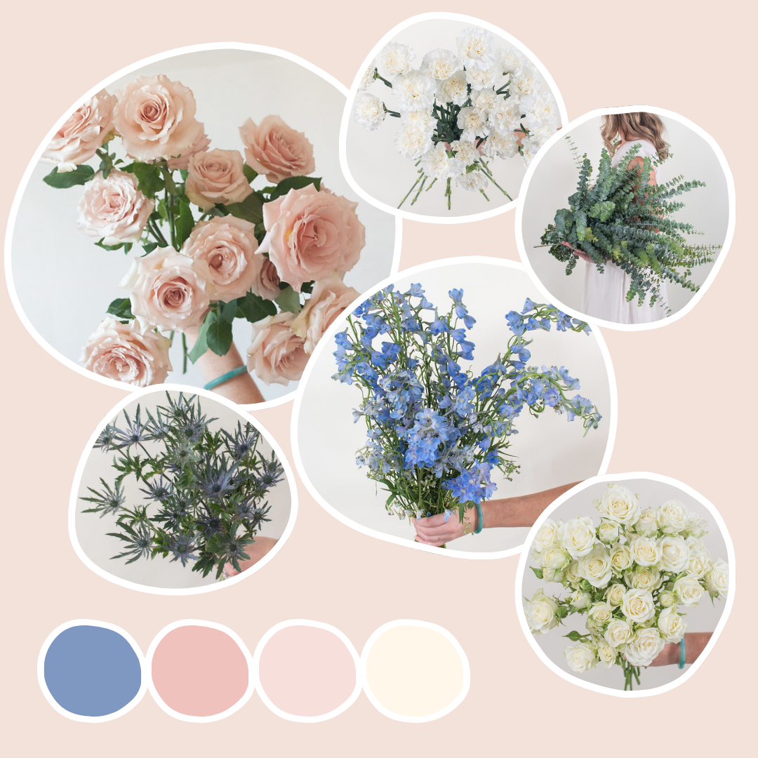 Dusty Blush and Blue Sample Box | Flower Moxie Bulk Flowers
