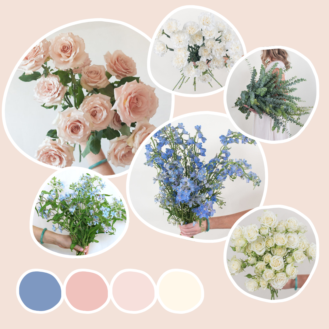 Dusty Blush and Blue Sample Box | Flower Moxie Bulk Flowers