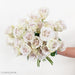 Early Grey Roses | Bulk Fresh DIY Wedding Flowers | Flower Moxie