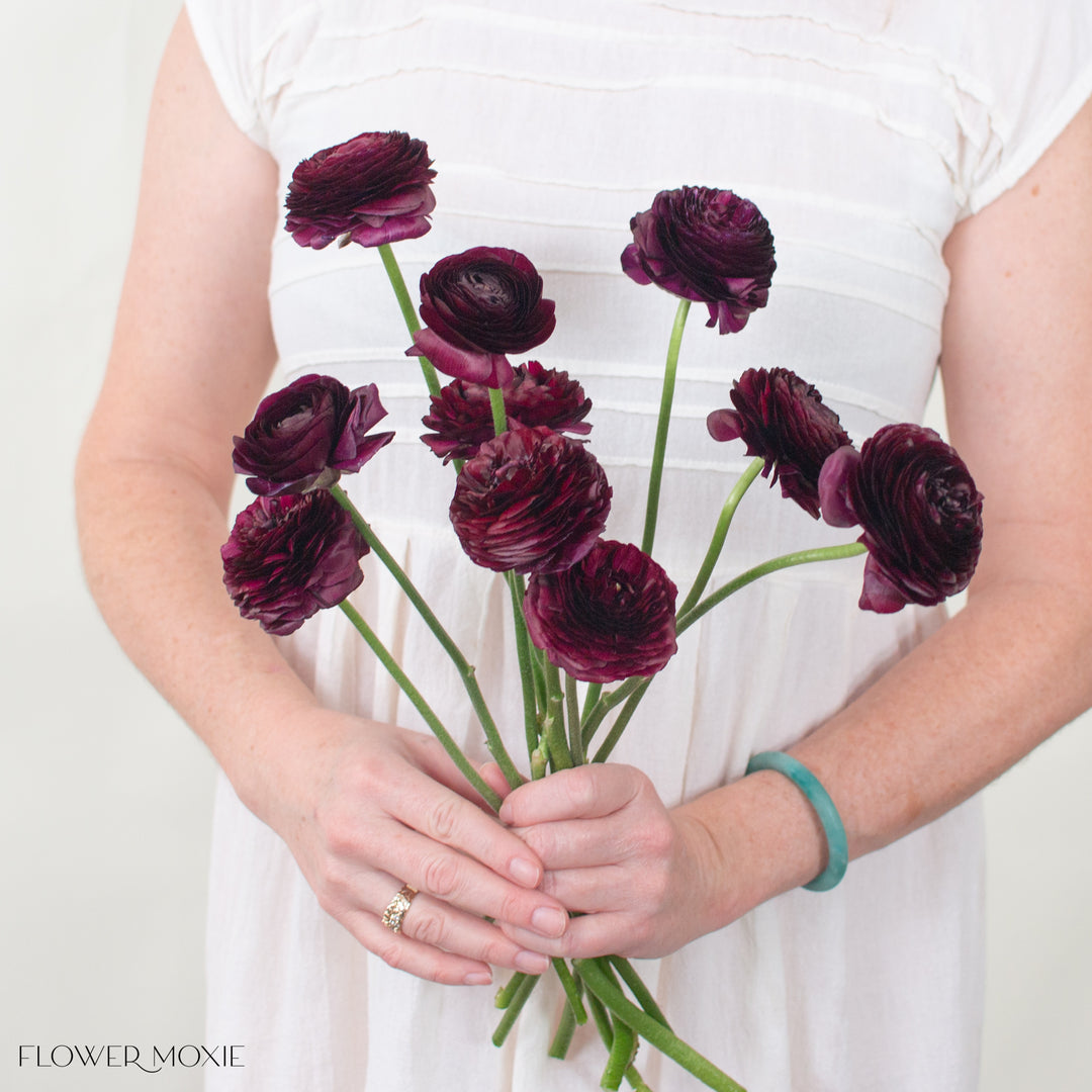 Deep Violet Ranunculus | DIY Wedding Flower | Flower Moxie