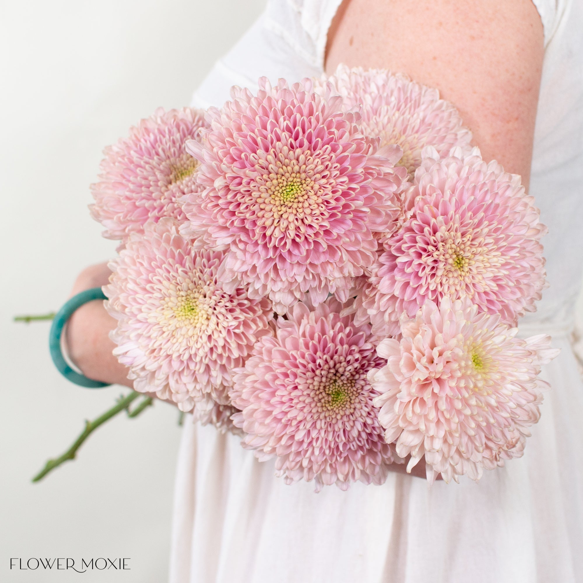Dusty Pink Cremone Flower | DIY Wedding Flowers | Flower Moxie