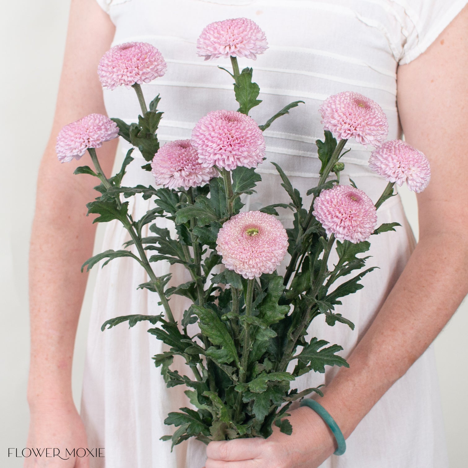 Light Pink Ball Cremone Flower | DIY Wedding Flowers | Flower Moxie