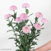 Light Pink Ball Cremone Flower | DIY Wedding Flowers | Flower Moxie