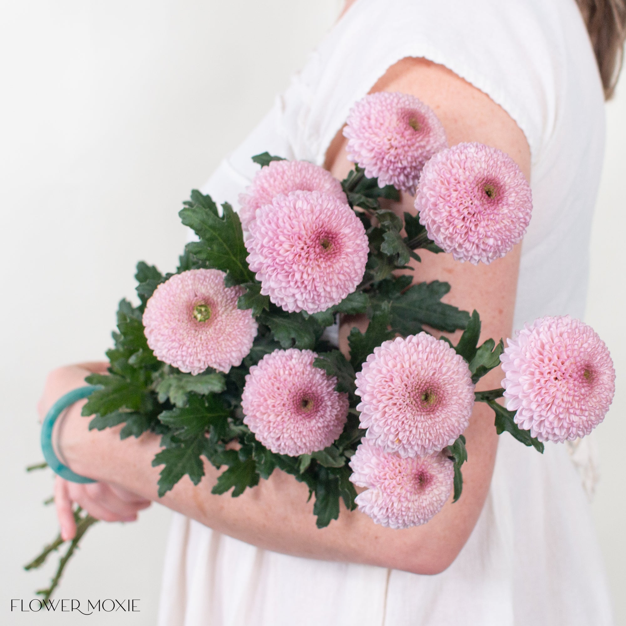 Light Pink Ball Cremone Flower | DIY Wedding Flowers | Flower Moxie
