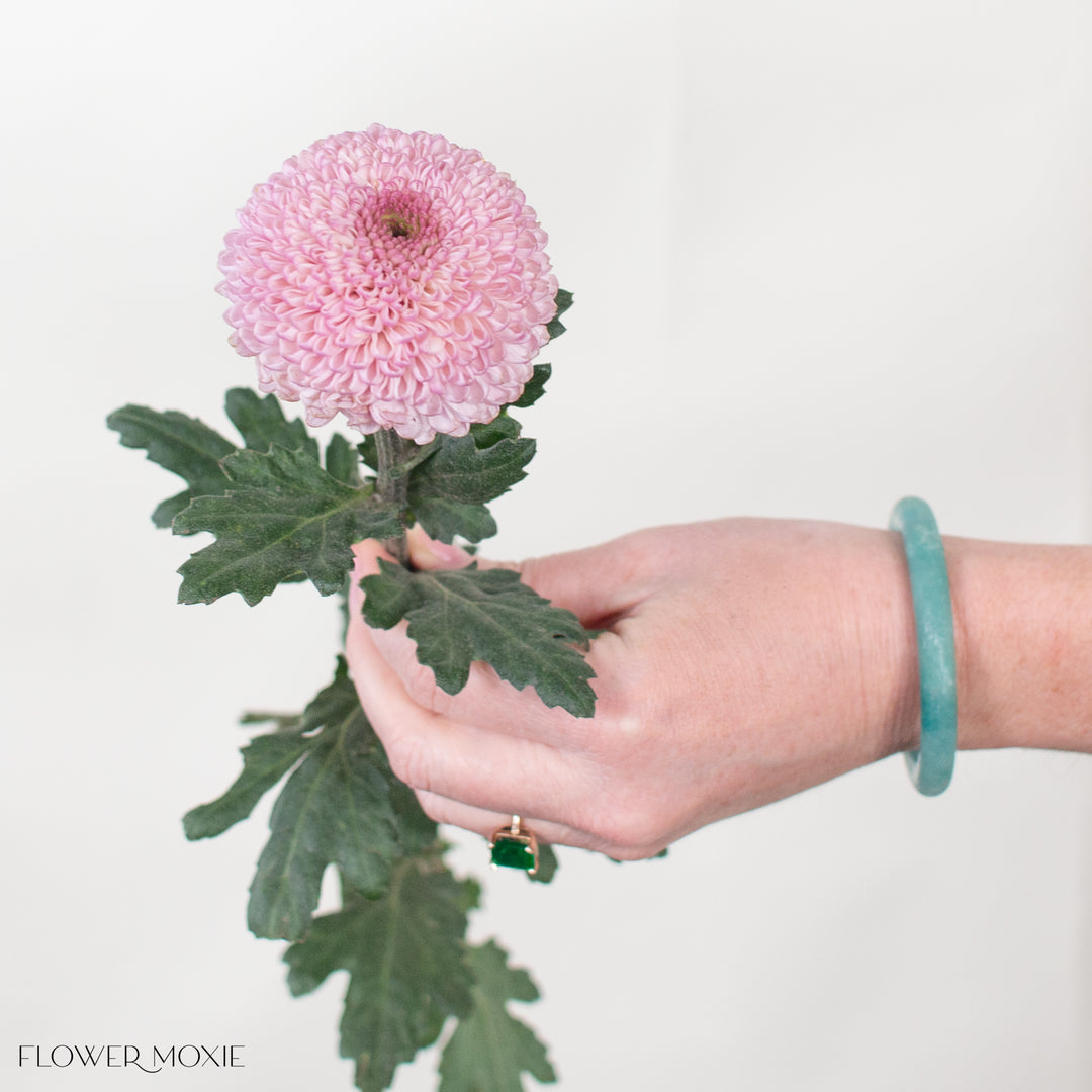 Light Pink Ball Cremone Flower | DIY Wedding Flowers | Flower Moxie