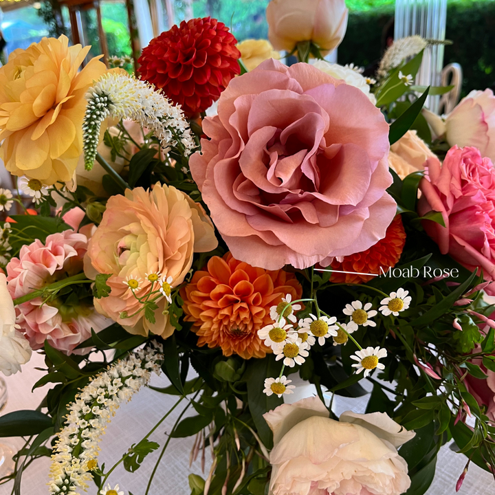 Dusty Terracotta Moab Roses | DIY Wedding Flowers | Flower Moxie