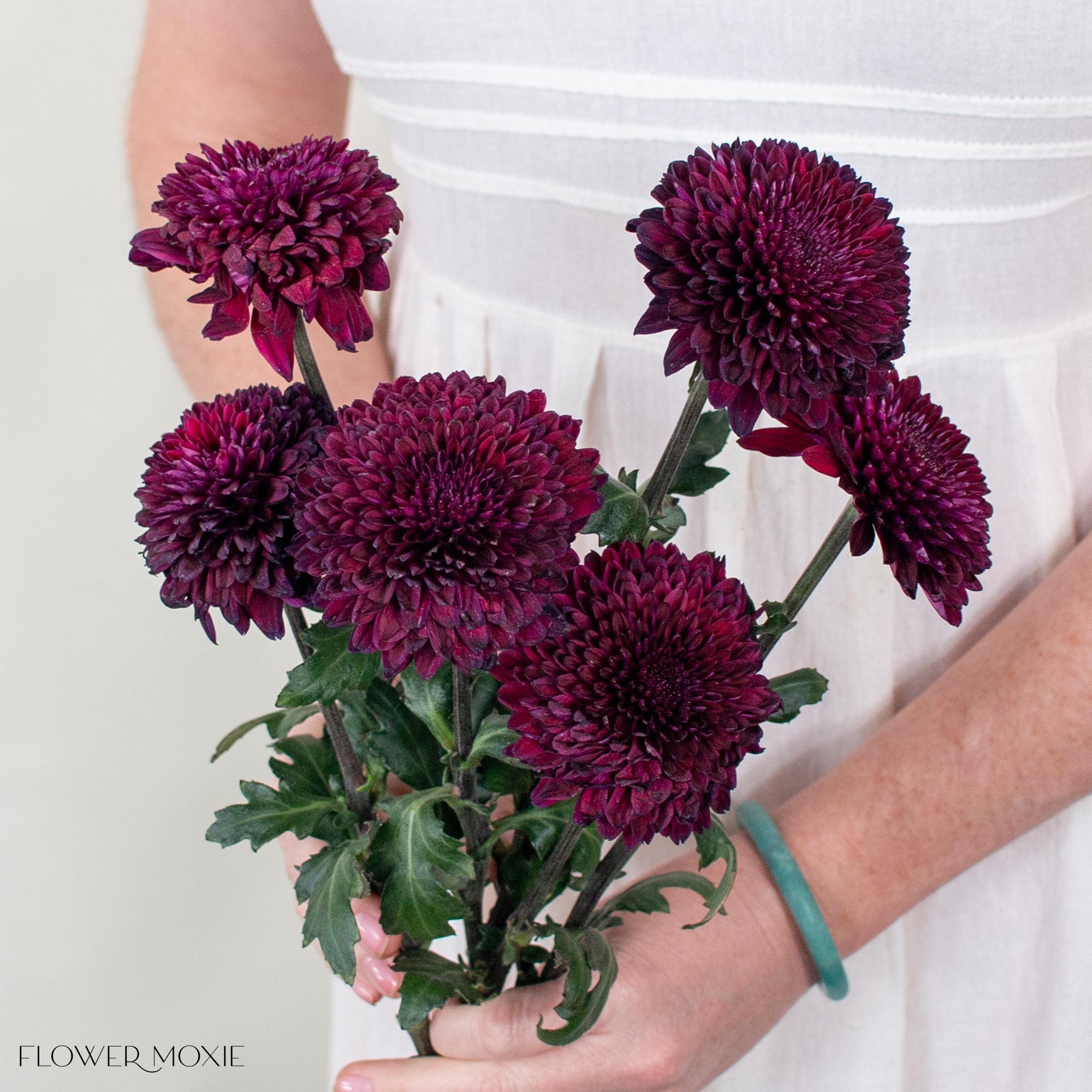 Deep Burgundy Cremone Flower | DIY Wedding Flowers | Flower Moxie