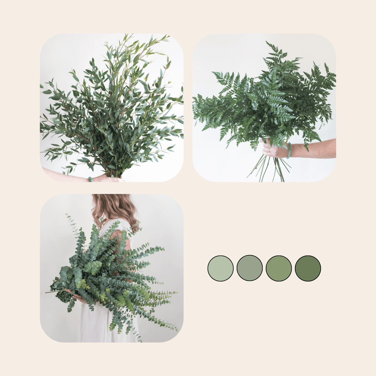 Greenery Mixed Boxes | Bulk Wholesale DIY Wedding Flowers – Flower Moxie
