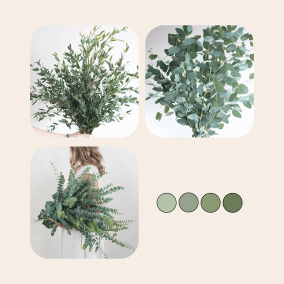 Greenery Mixed Boxes | Bulk Wholesale DIY Wedding Flowers – Flower Moxie
