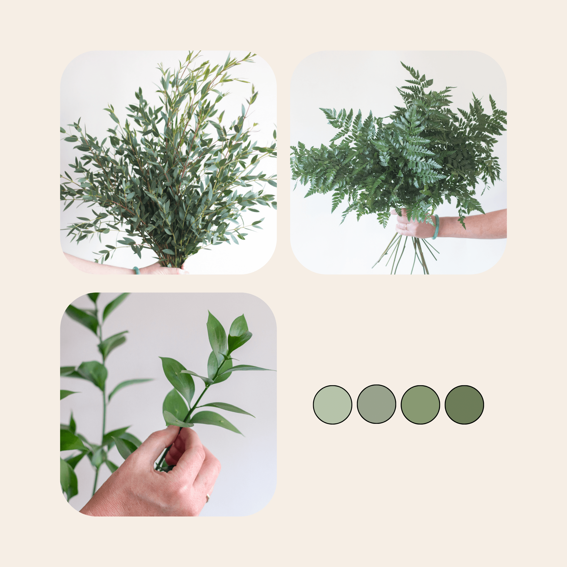 Everyday Greenery Mixed Box | Flower Moxie