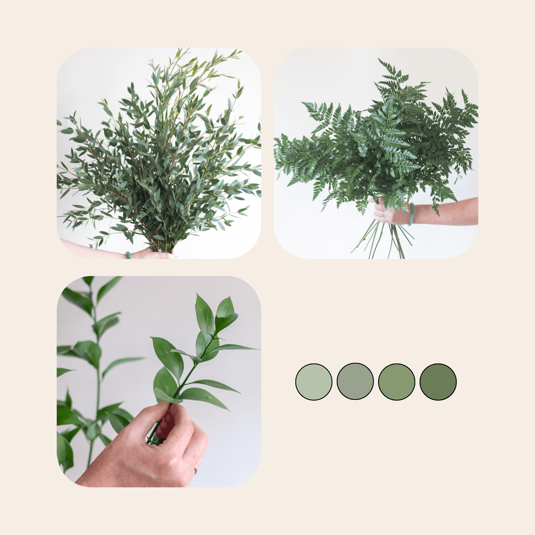 Greenery Mixed Boxes | Bulk Wholesale DIY Wedding Flowers – Flower Moxie