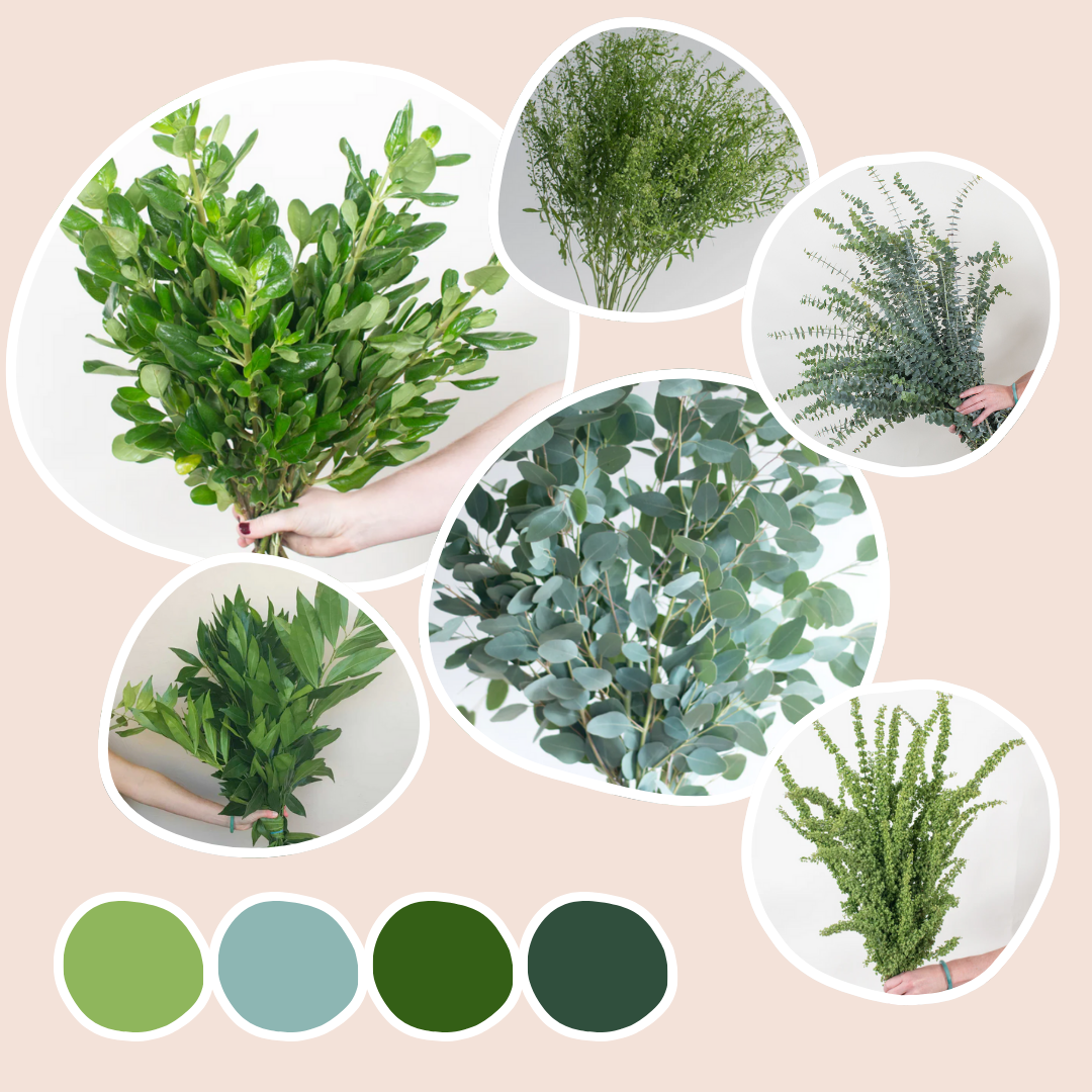 Greenery Mixed Box – Evergreen Mix | Flower Moxie Bulk Flowers