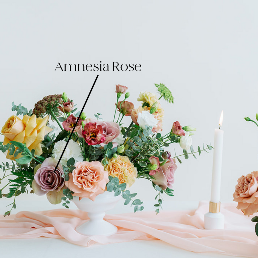 Amnesia Lavender Roses | DIY Wedding Flowers | Flower Moxie
