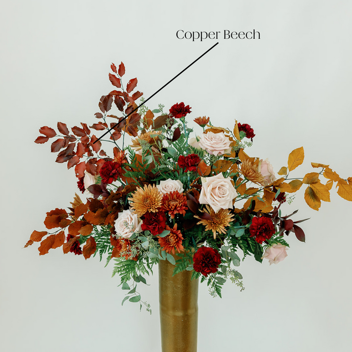 FALL ONLY - Copper Beech – Flower Moxie