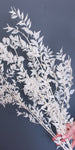 Bleached Dried White Italian Ruscus – Flower Moxie