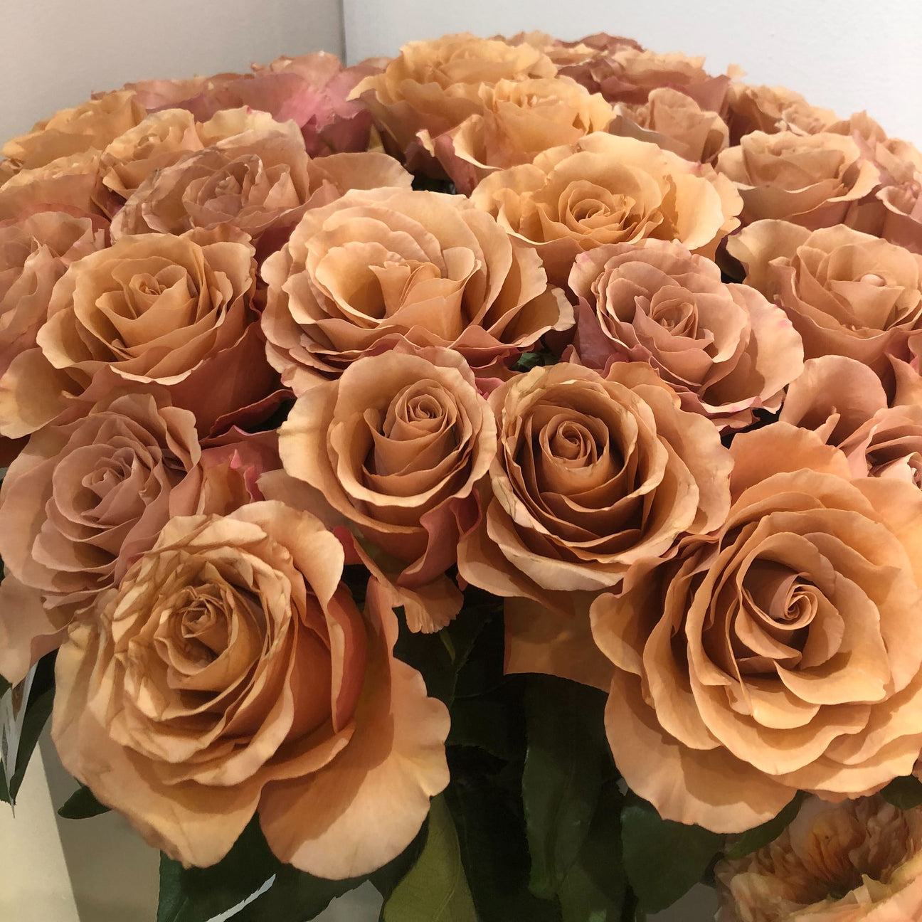 Dusty Terracotta Moab Roses | DIY Wedding Flowers | Flower Moxie