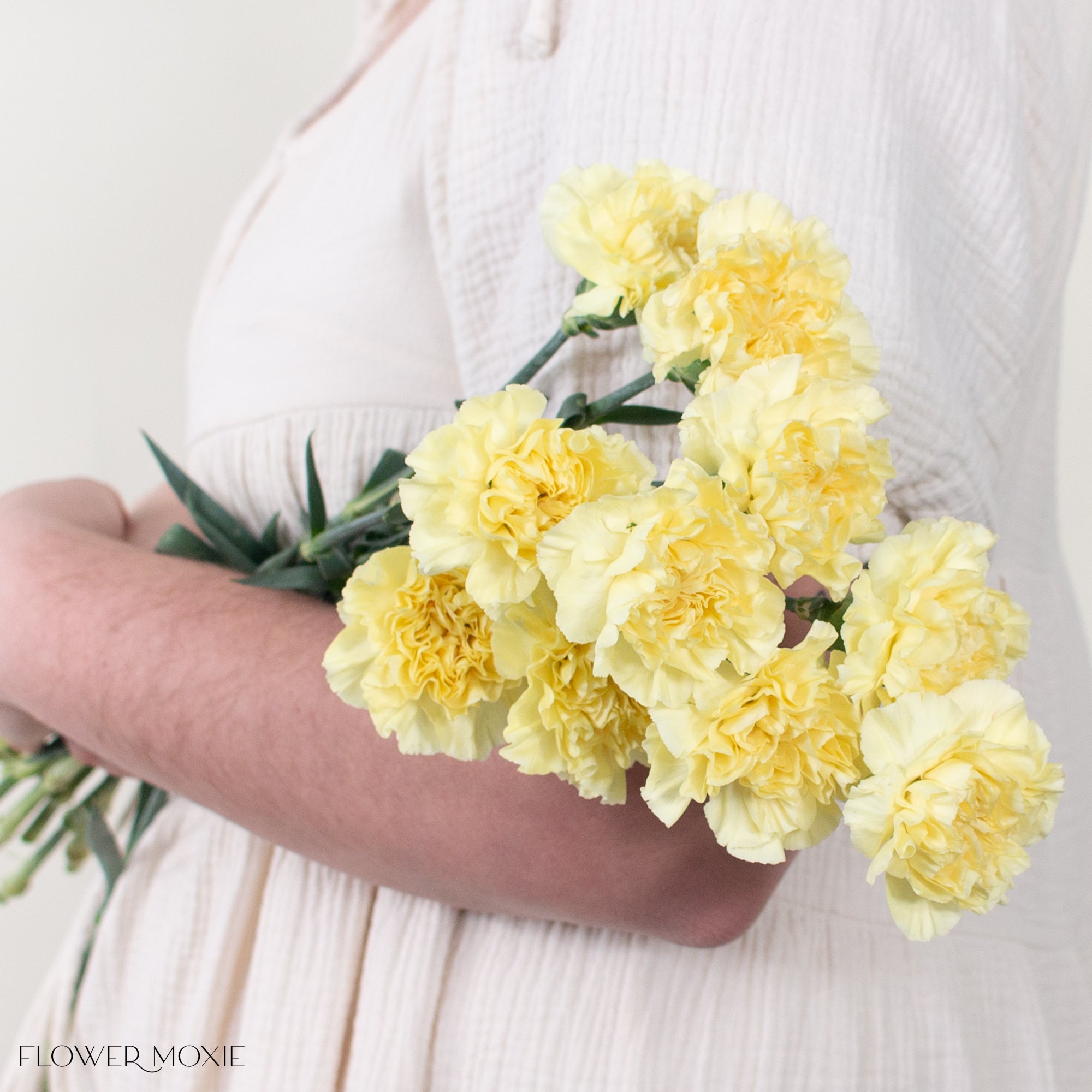 Pale Yellow Carnations | Bulk DIY Wedding Flowers | Flower Moxie