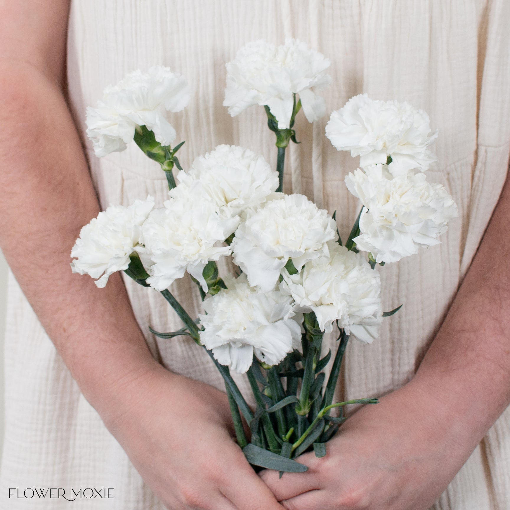White Carnations | Bulk Fresh DIY Wedding Flowers | Flower Moxie