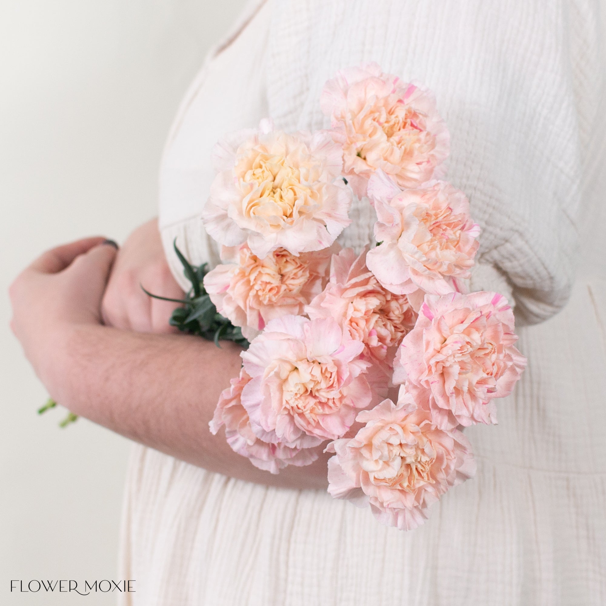 Blush Japanese Carnation Flower | Bulk Fresh DIY Wedding Flowers ...