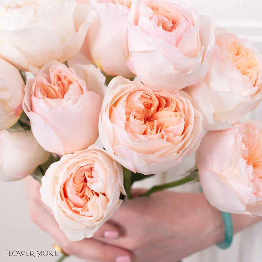 Juliet Garden Roses | DIY Wedding Flowers | Flower Moxie
