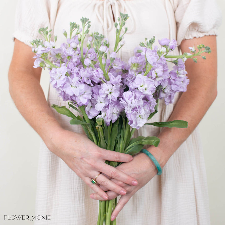 Stock Flowers | Bulk Fresh Wedding Flowers Online – Flower Moxie