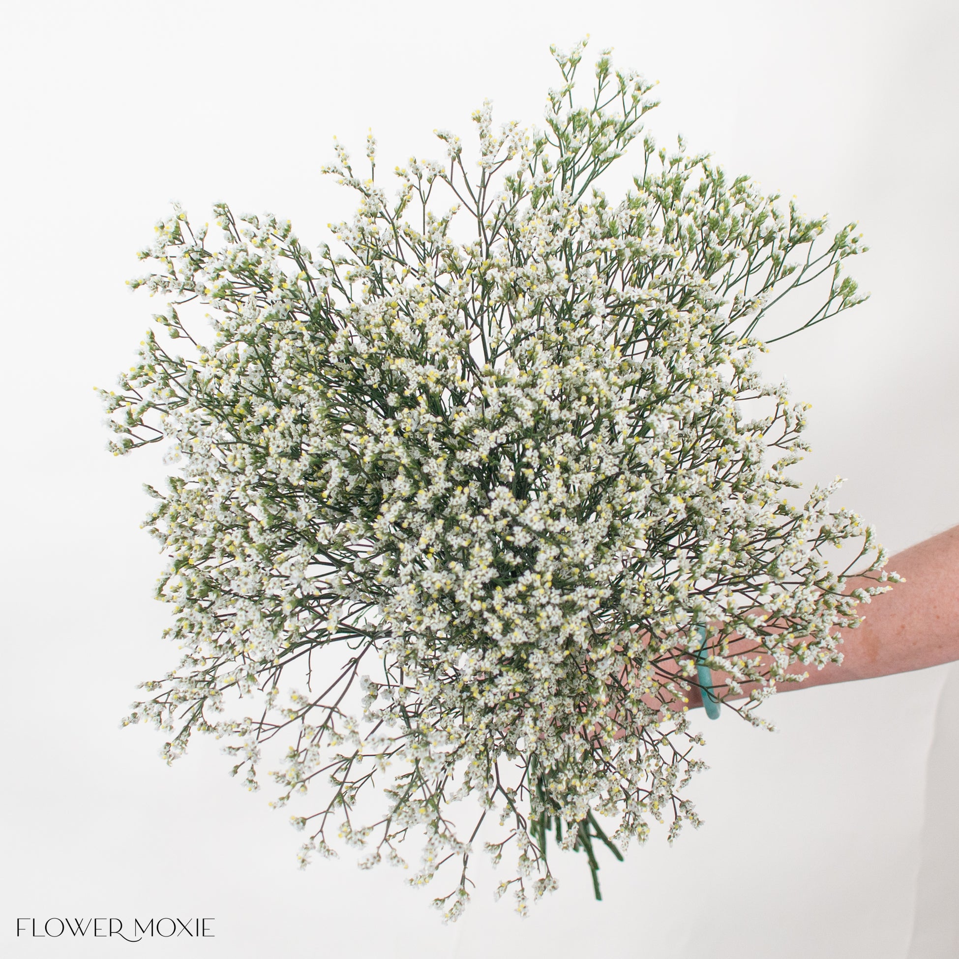 White Limonium | DIY Wedding Flowers | Flower Moxie