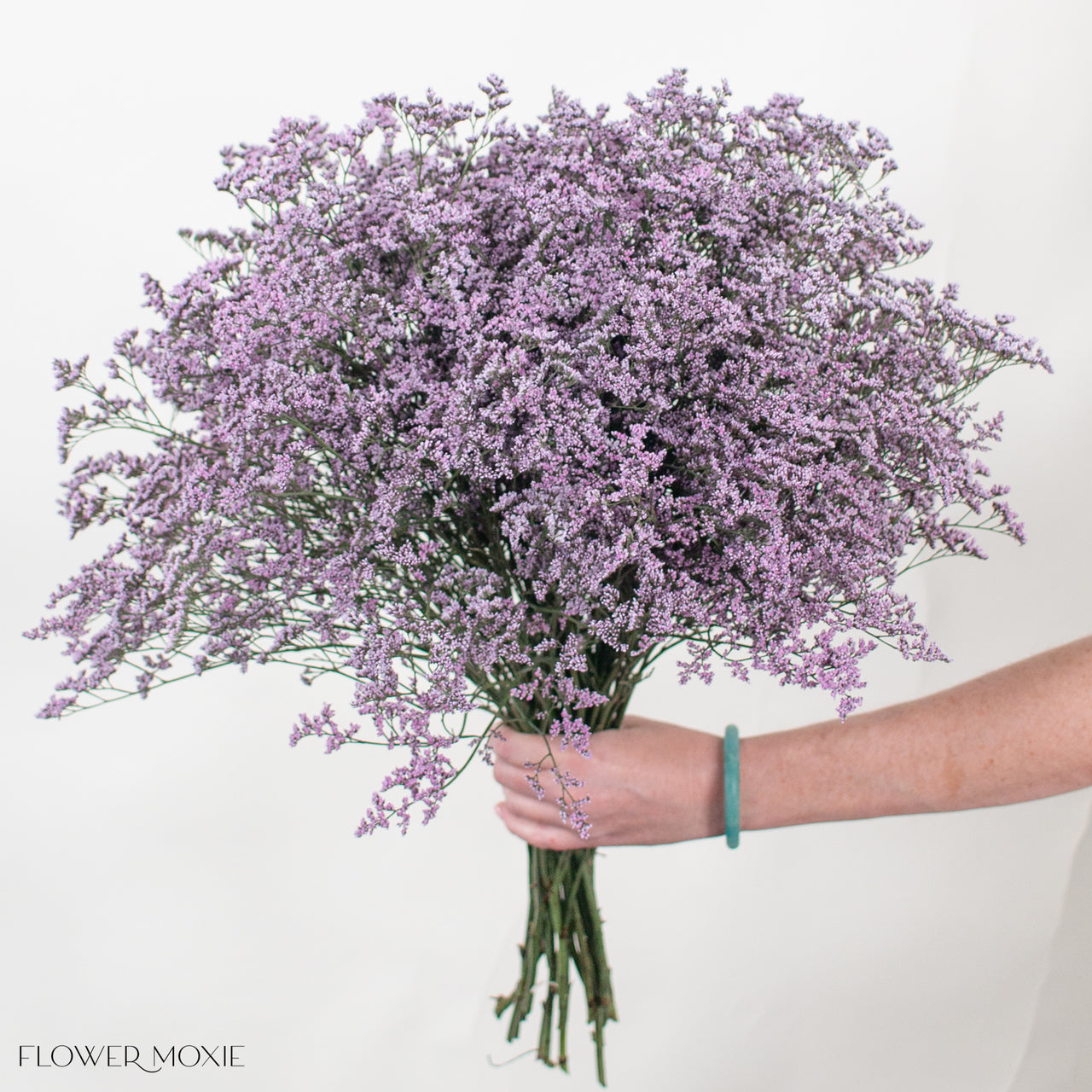 Limonium – Flower Moxie