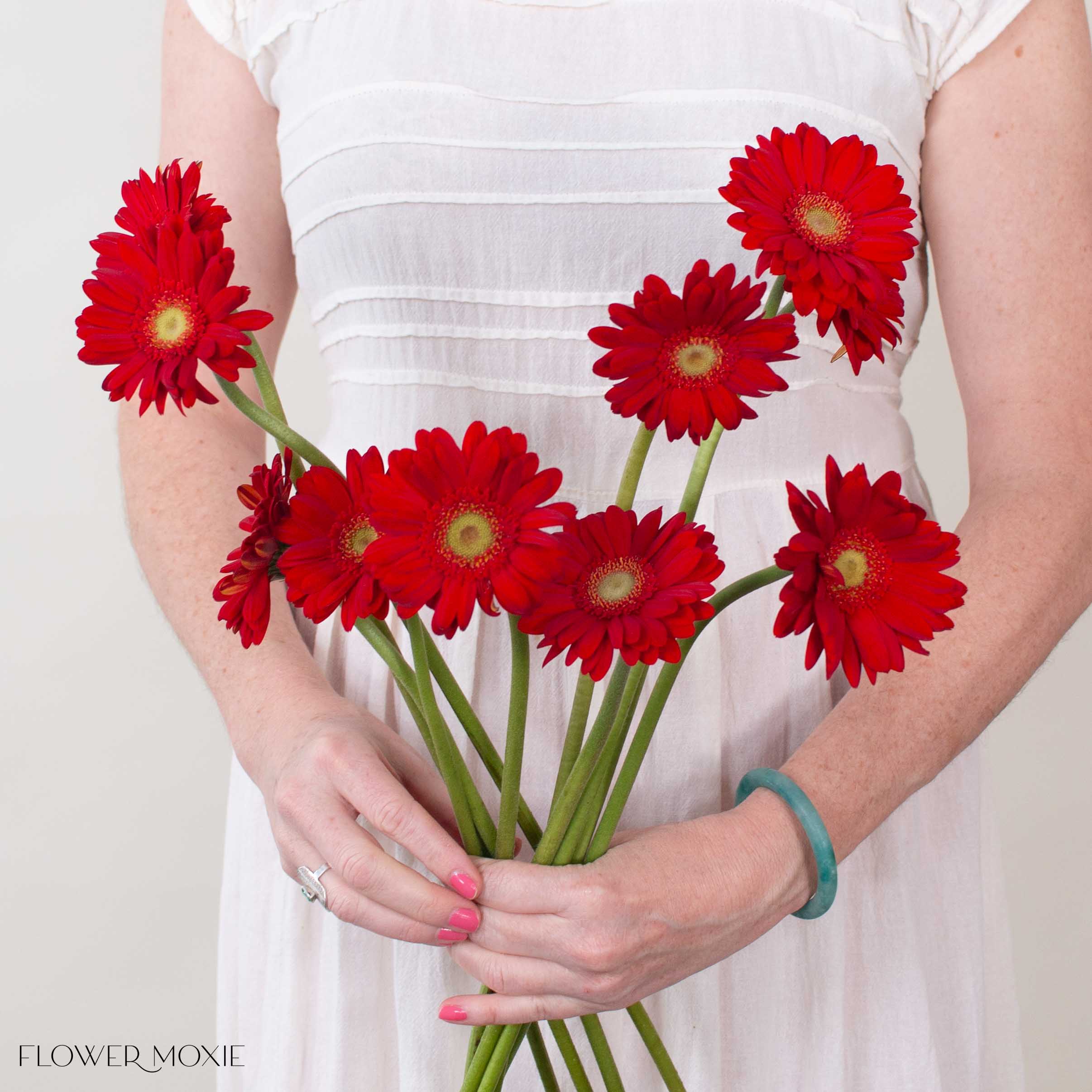 Red Mini Gerbera Daisies | Fresh DIY Wedding Flowers | Flower Moxie